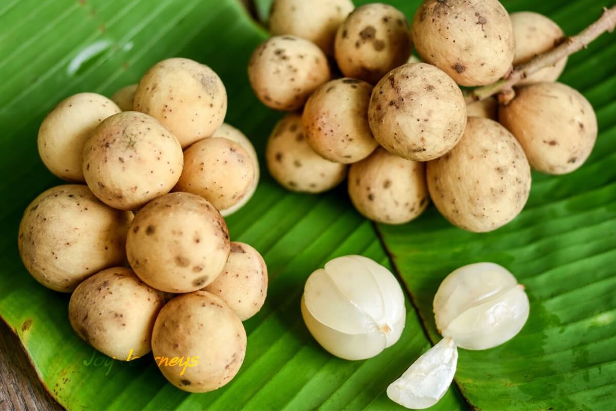 Discover Bonbon Fruit Vietnam: Farms, Markets, Culinary Delights - Joy ...