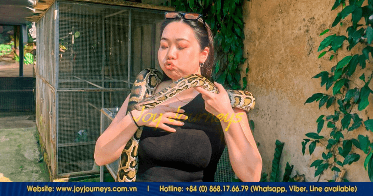 My Tho City: A Complete Guide to Vietnam's Mekong Delta Gateway